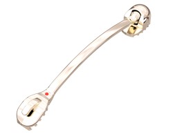 American Orthodontics Unveils New Champagne Aesthetic Finish for Best ...